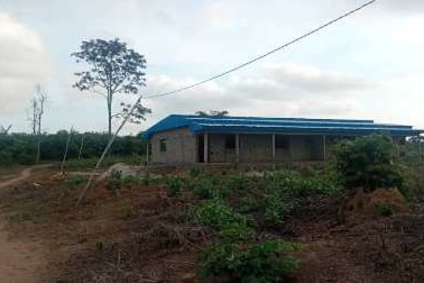 Baboué : Les fils et filles unis pour la construction d’un centre de ...
